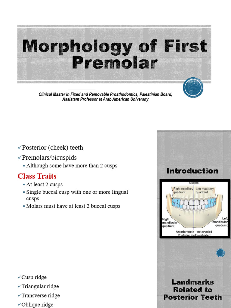 Lec#2, 3 (Morphology of First Premolar) | PDF | Dentistry Branches | Mouth