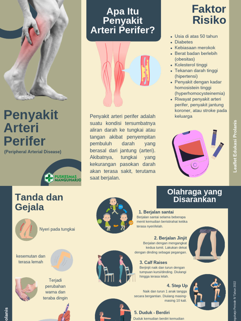 Panduan Penyakit Arteri Perifer | PDF