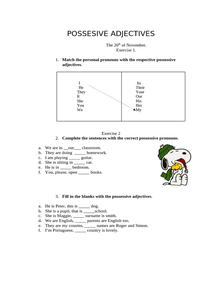 Possessive Adjectives Grammar Drills - 24219 | PDF