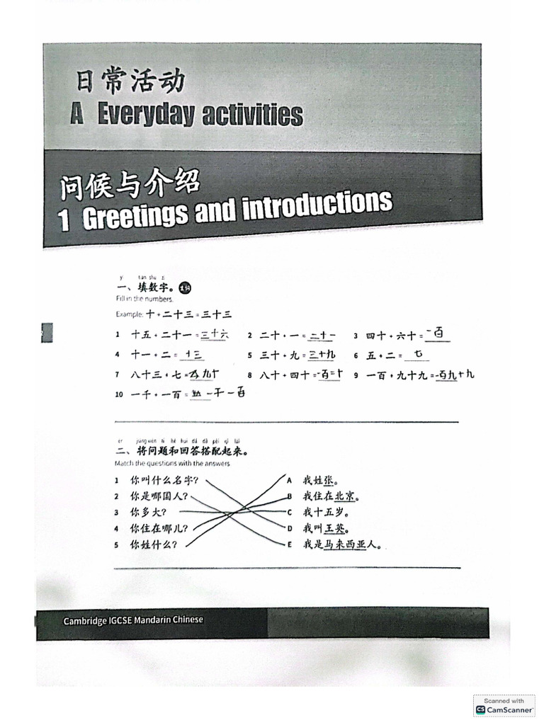 Mandarin Homework | PDF