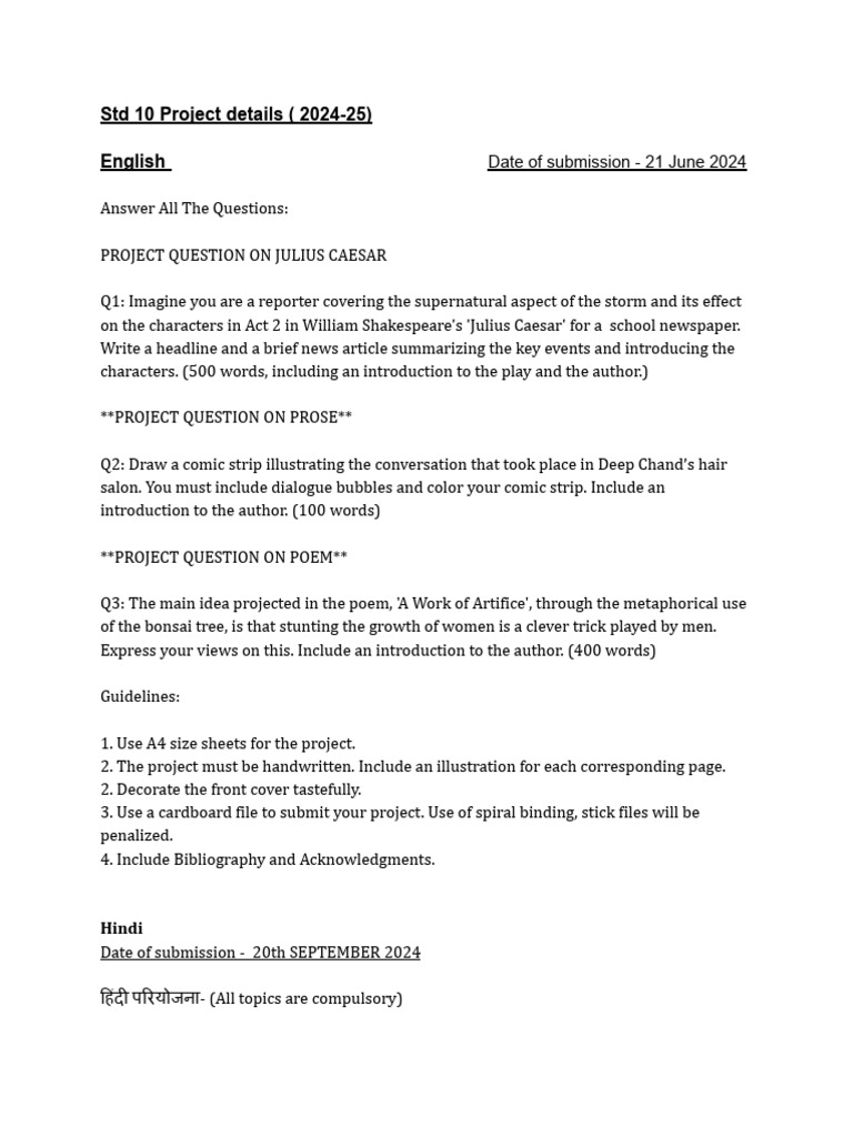 Std 10 Project Guidelines Overview | PDF | Triangle | Debits And Credits