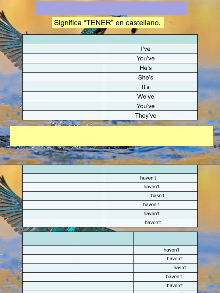 Have Got - Present Simple | PDF