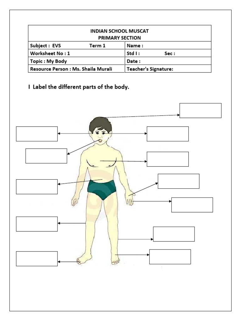 Class 1 E.V.S Worksheet 1 | PDF