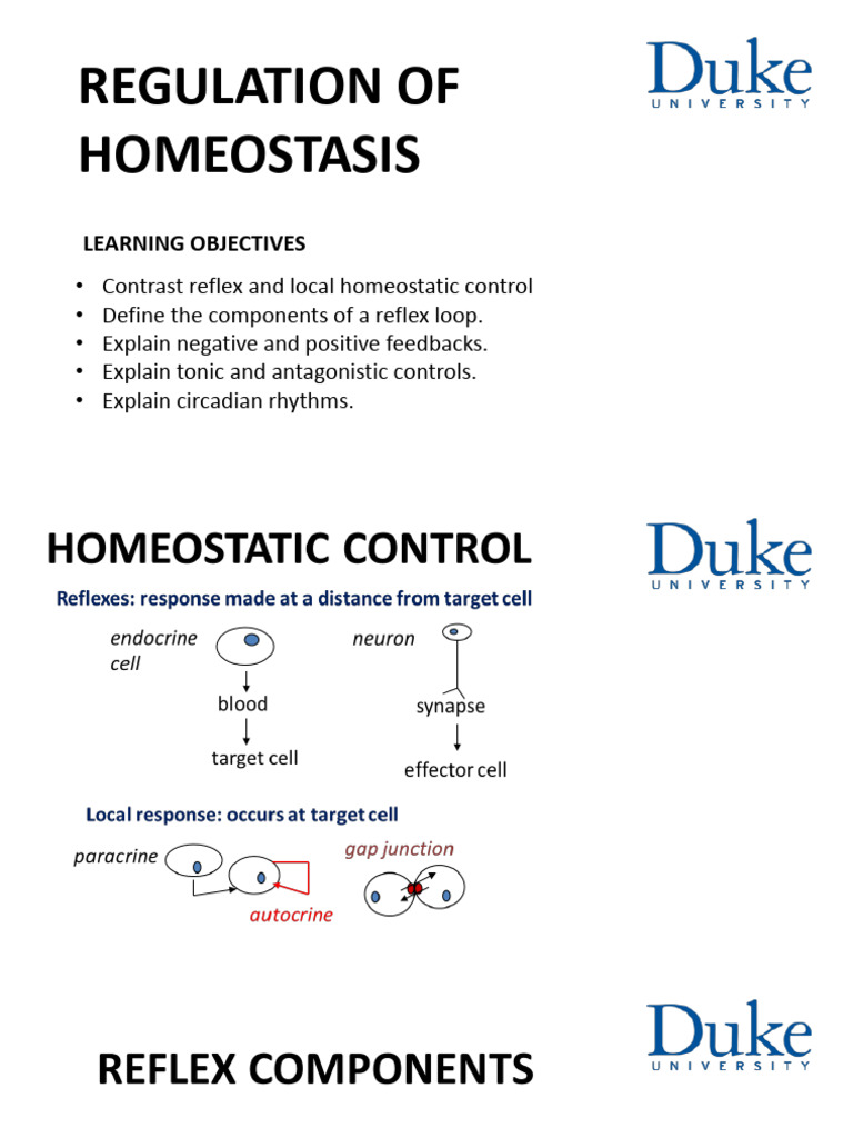 1.2 Homeostatic Regulation Revised | PDF