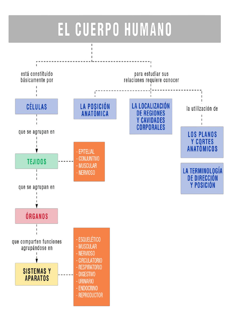 Mapa Conceptual Tema 1 | PDF