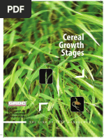 Wheat Growth Stages Overview | PDF | Seed | Wheat
