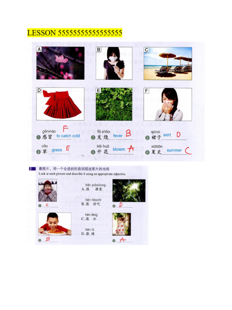 My Notebook 2 | PDF