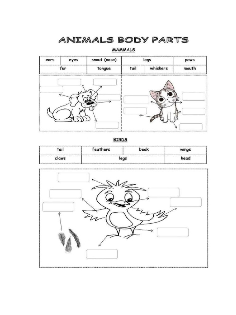 Animals Body Parts | PDF