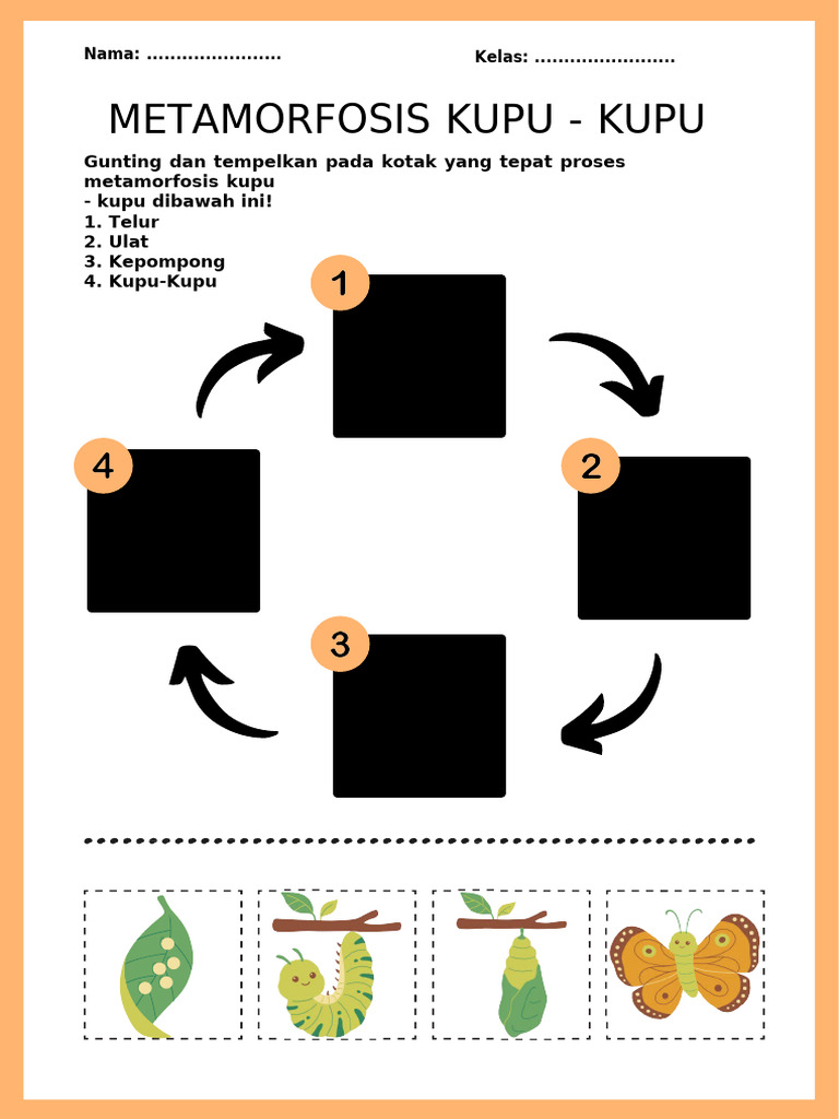 Putih Orange Ilustrasi Ipa Biologi Metamorfosis Kupu - Kupu Lembar ...