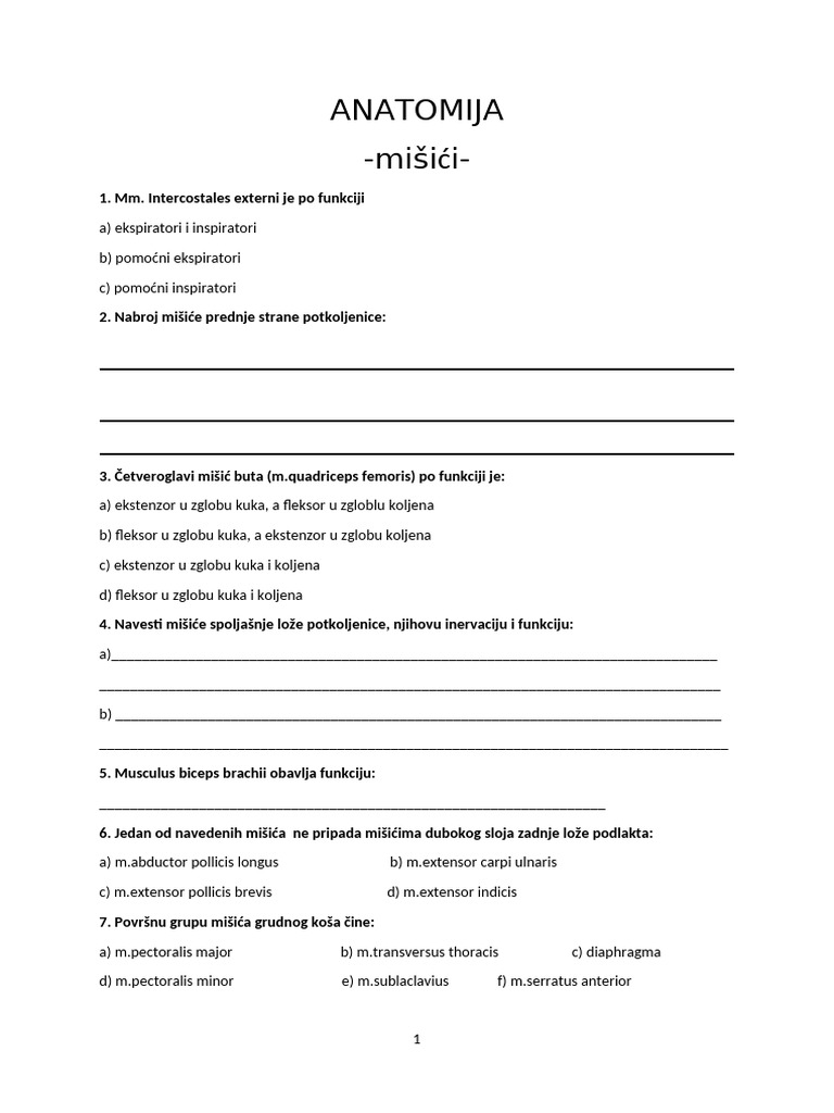 Misici | PDF