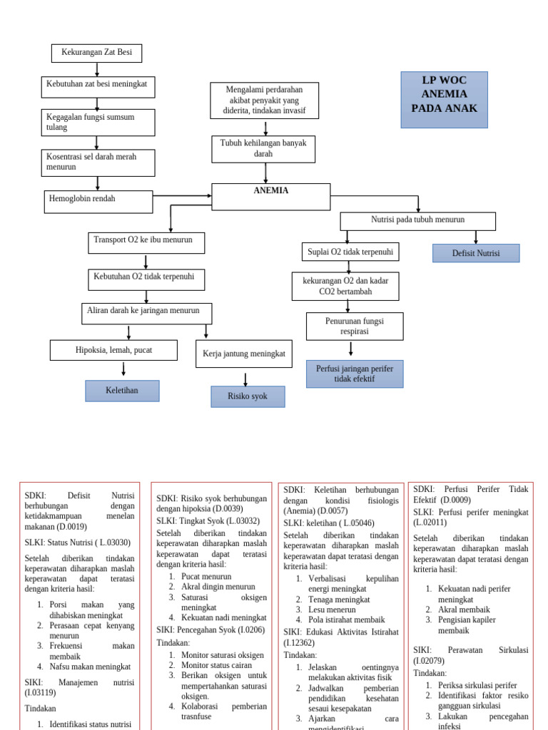 LP Woc Anemia Anak | PDF