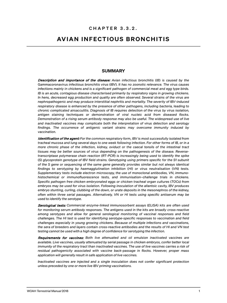 Avian Infectious Bronchitis | PDF | Infection | Real Time Polymerase Chain Reaction