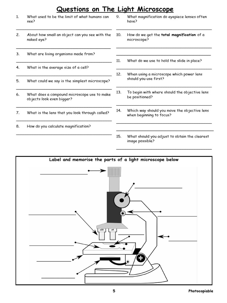 Microscope & Cell Basics for Students | PDF | Respiratory System ...