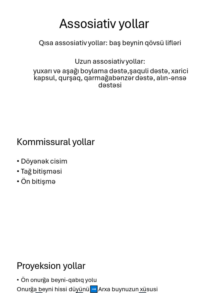 Beynin Aparıcı Yolları | PDF