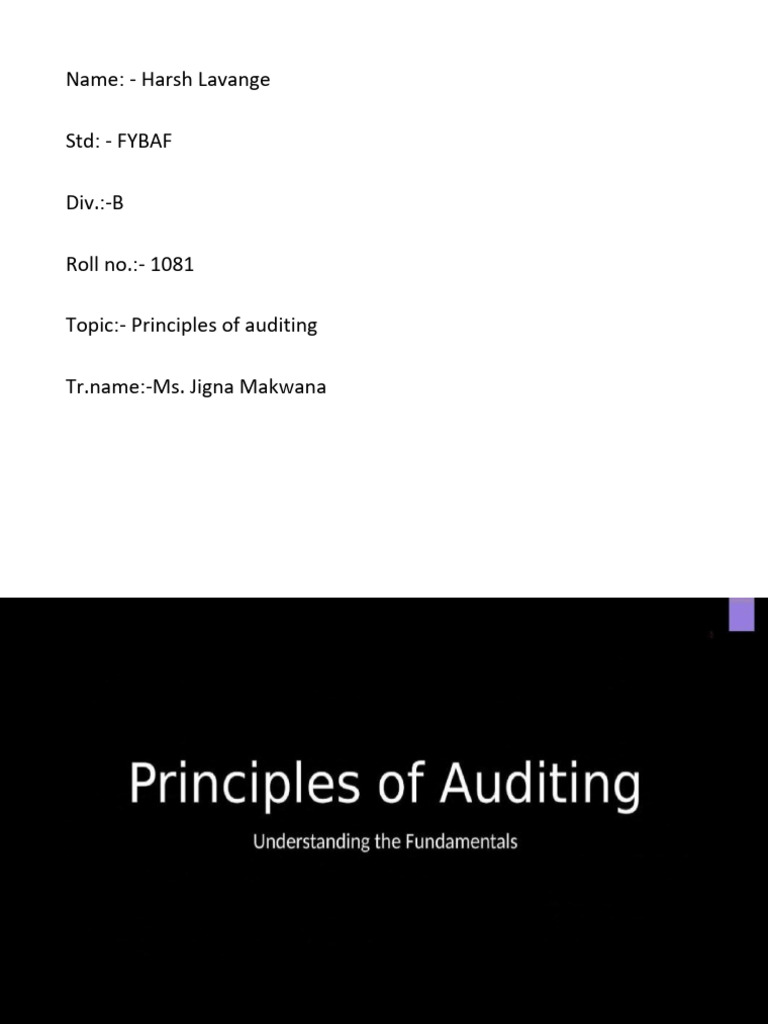 Assignment of Audit (FYBAF-B) 1081 | PDF
