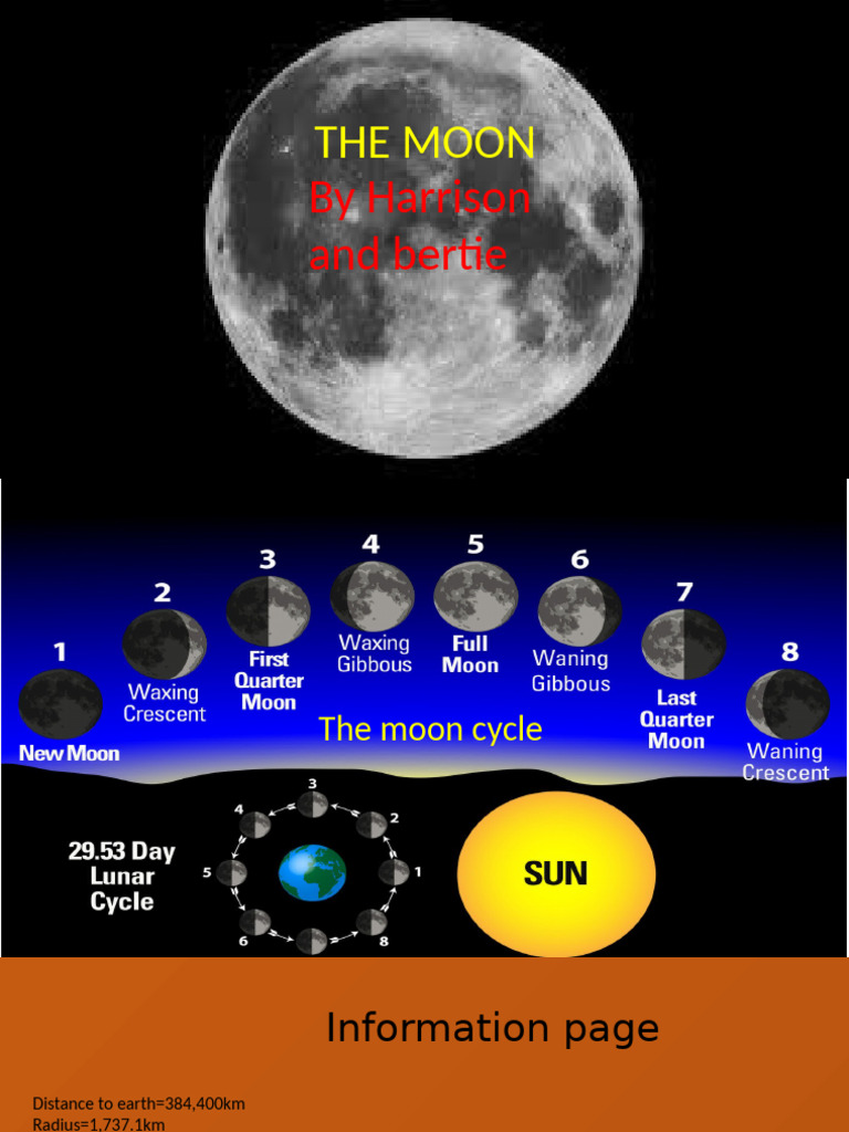 Moon Facts and Information Overview | PDF