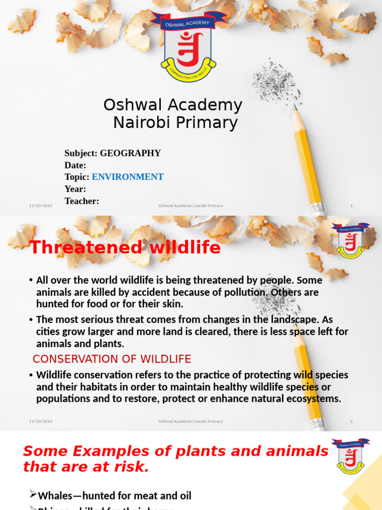 Week 3 Environment | PDF | Antarctica | Wildlife