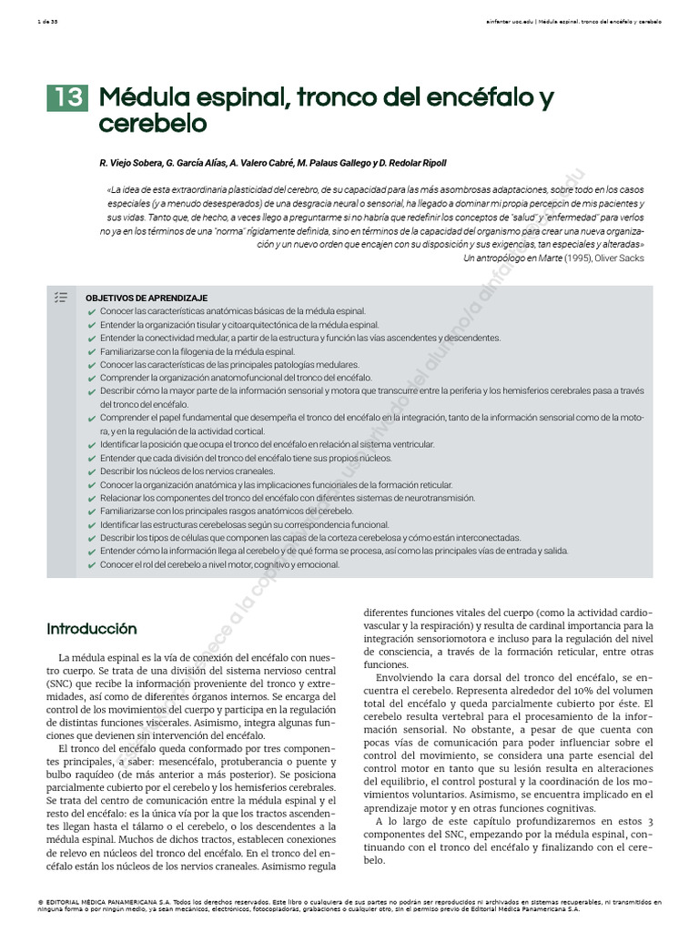 Médula Espinal, Tronco Del Encéfalo y Cerebelo | PDF | Médula espinal | Cerebelo