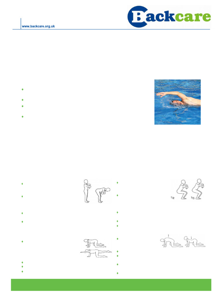 Exercises For Back Pain | PDF | Musculoskeletal System | Human Anatomy