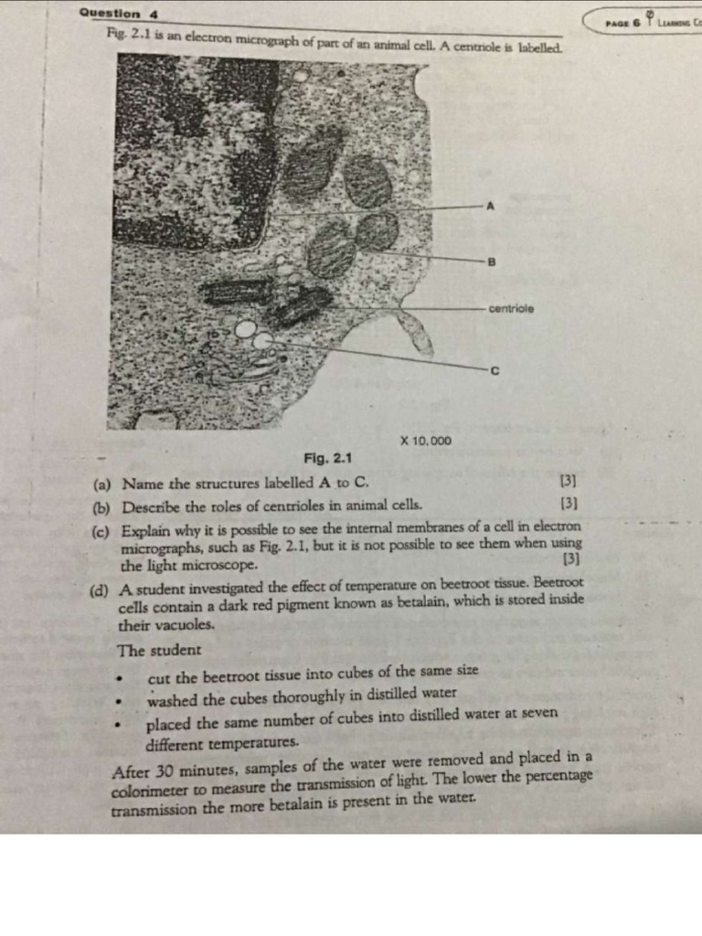 Cape Bio Ques Xtra | PDF