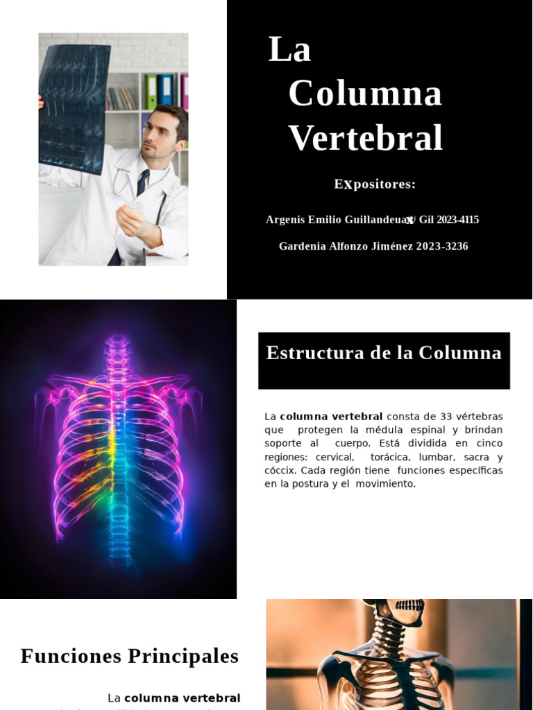 Salud de la Columna Vertebral y Mediastino | PDF | La columna vertebral ...