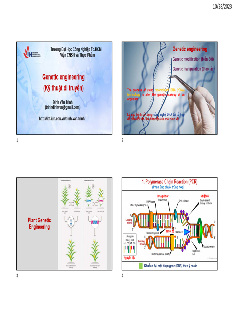 Chapter 8 - Genetic Engineering | PDF