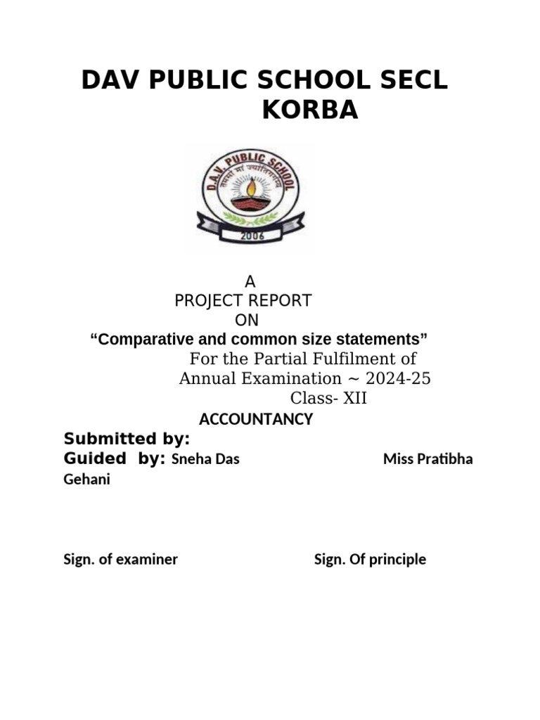 Comparative & Common Size Statements Report | PDF