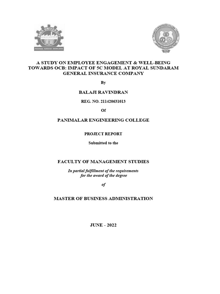 Final MBA Project | PDF | Business