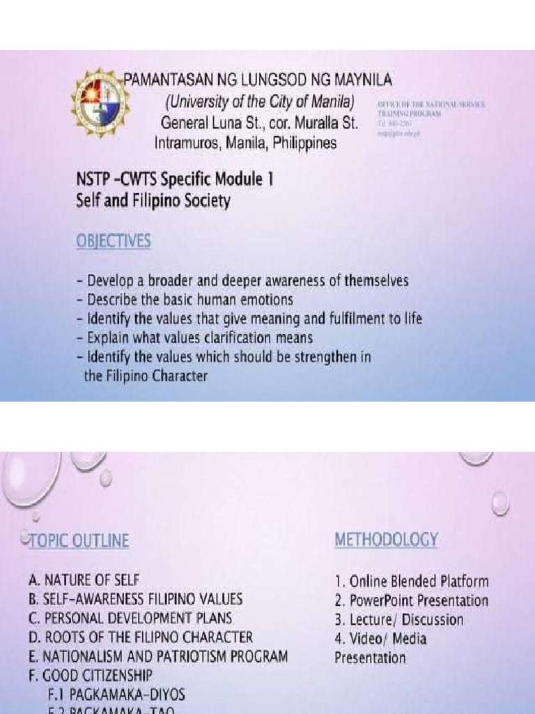 Self and Filipino Society | PDF