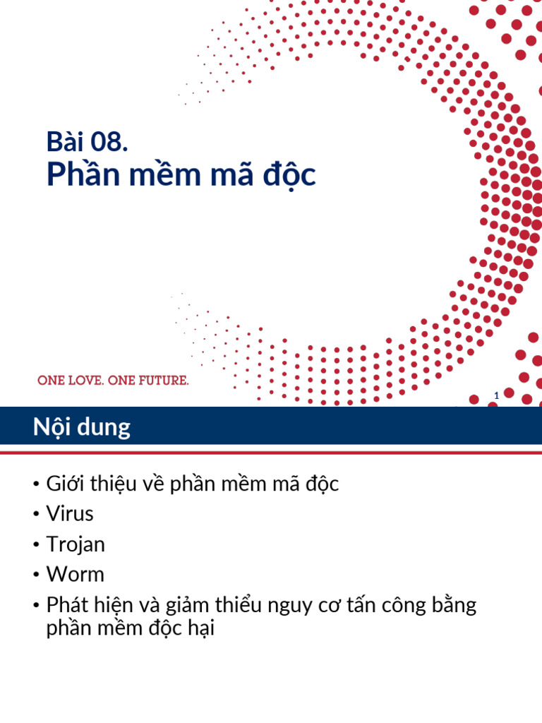 Bai08. Phan Mem Ma | PDF