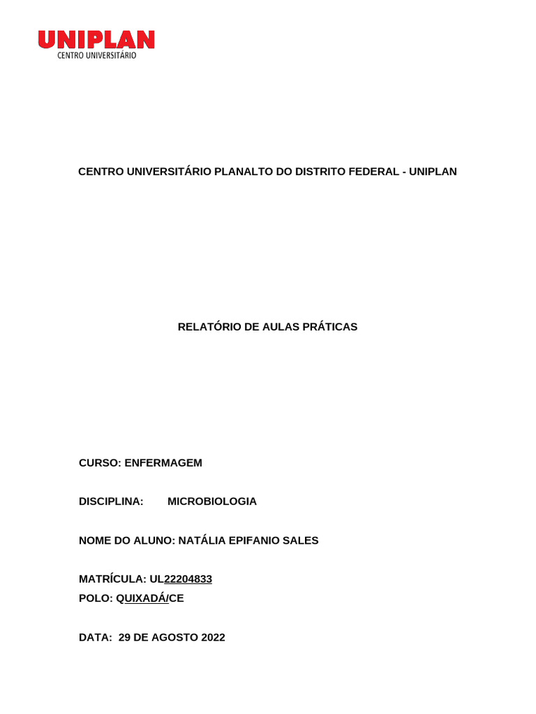 Relatório Hugo Uniplan | PDF