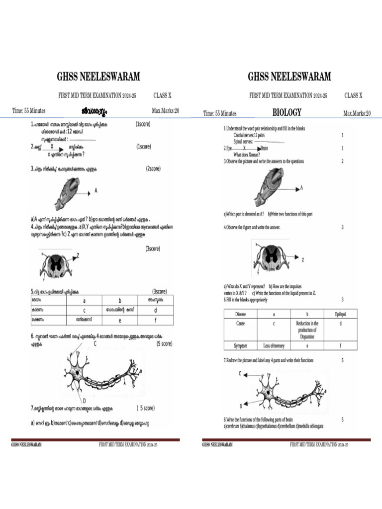 GHSS Neeleswaram Class X Exam 2024-25 | PDF