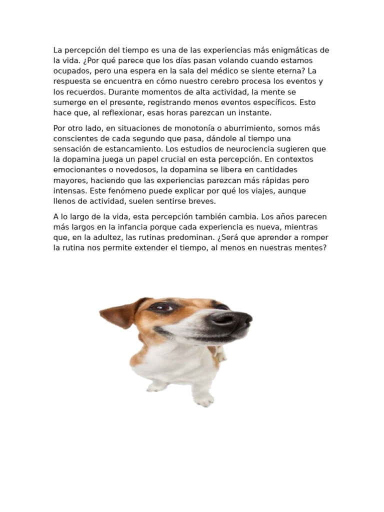 El Waza Insano Del Wechienisama Lol | PDF