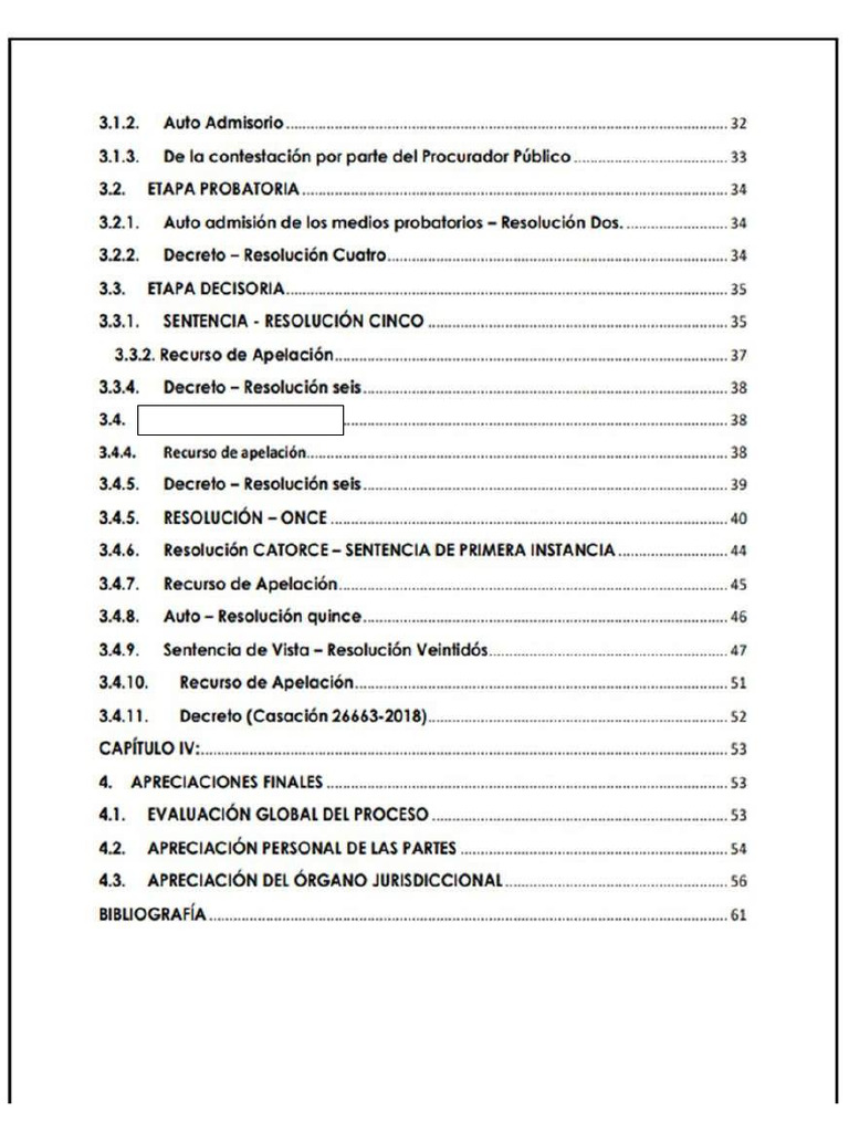 Modelo de Informe | PDF