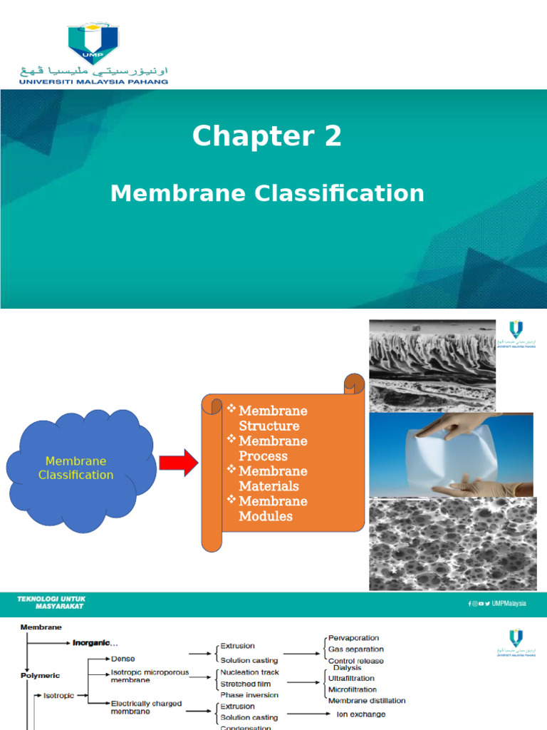 02 Chapter 2 | PDF | Membrane | Membrane Technology