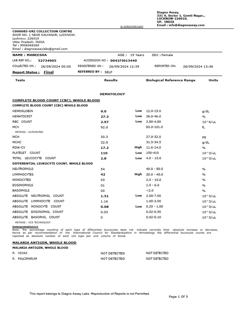 Blood Test Report for Dengue and Typhoid | PDF | White Blood Cell ...