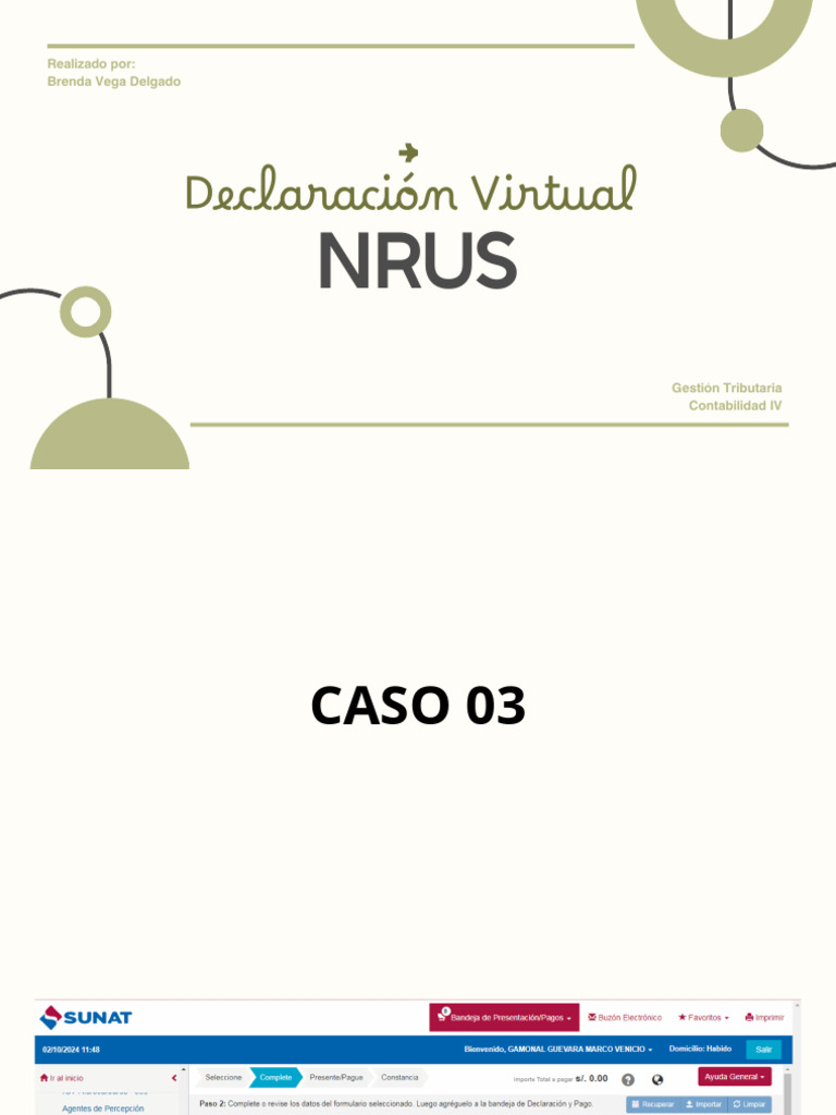 Declaración Virtual Nrus | PDF