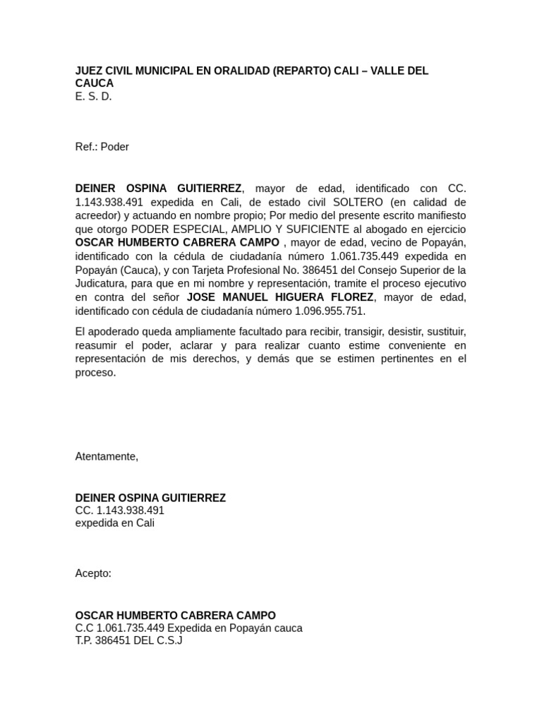 Poder Demanda Ejecutiva | PDF