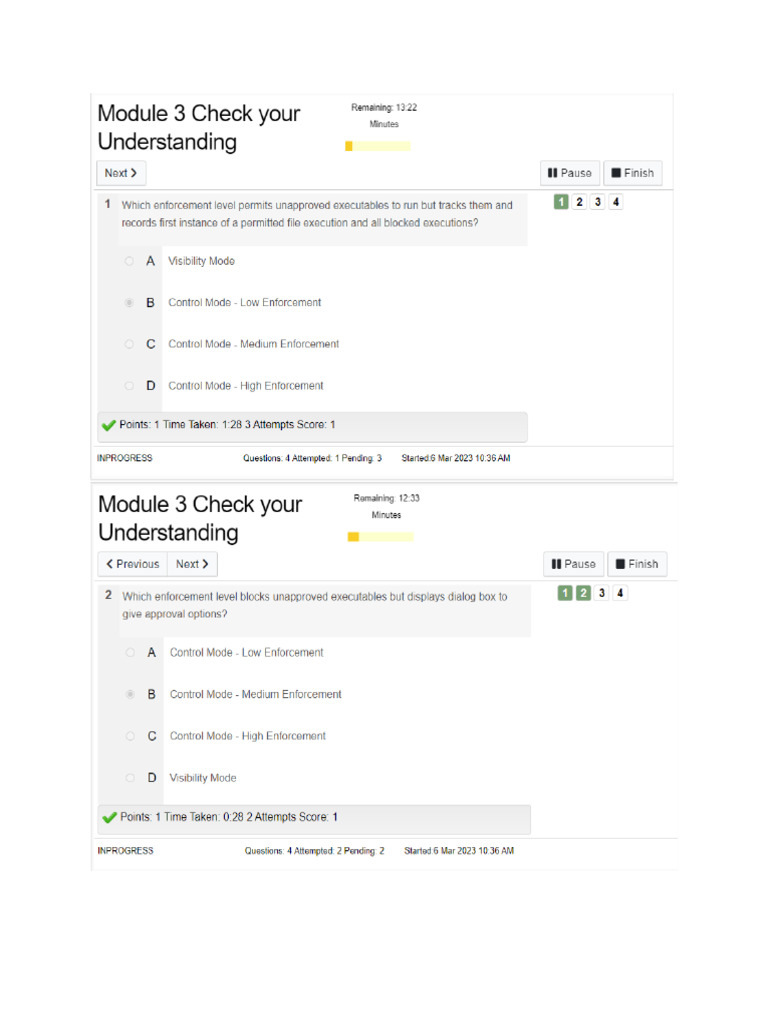 Module 3 Check Your Understanding | PDF