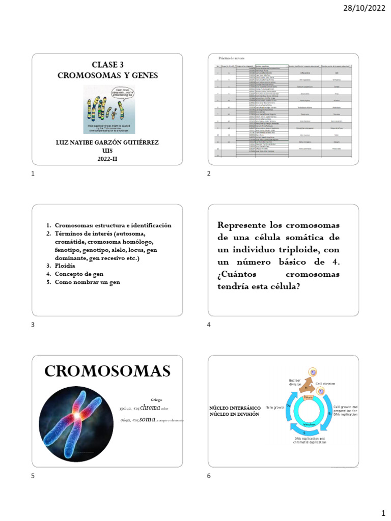 Clase Cromosomas y Genes | PDF | Cromatina | Cromosoma