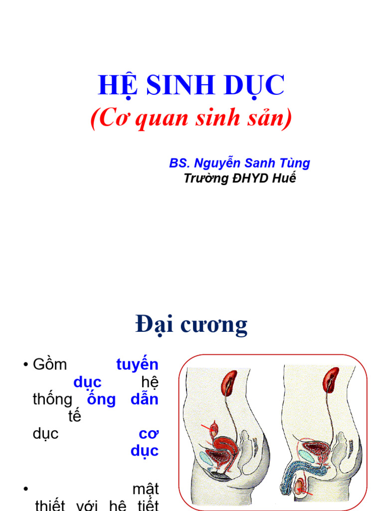 Sinh Duc Nam Nữ (3t) | PDF