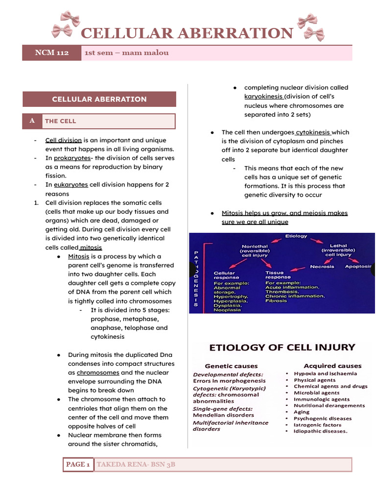 CELLULAR ABERRATION - Docx | PDF | Mitosis | Anatomy