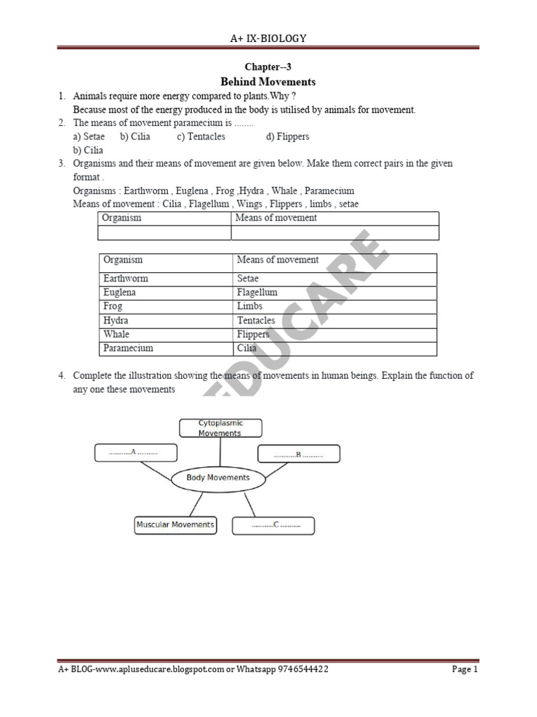 STD 9-Biology-Chapter-4-Practice Questions (Em) | PDF | Skeleton | Muscle