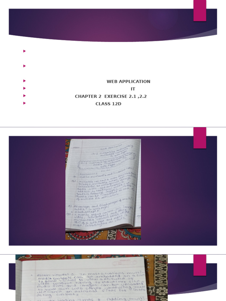Web App Multimedia Formats Guide | PDF