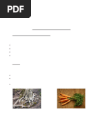1.1 Plante en Diere Op Aarde | PDF