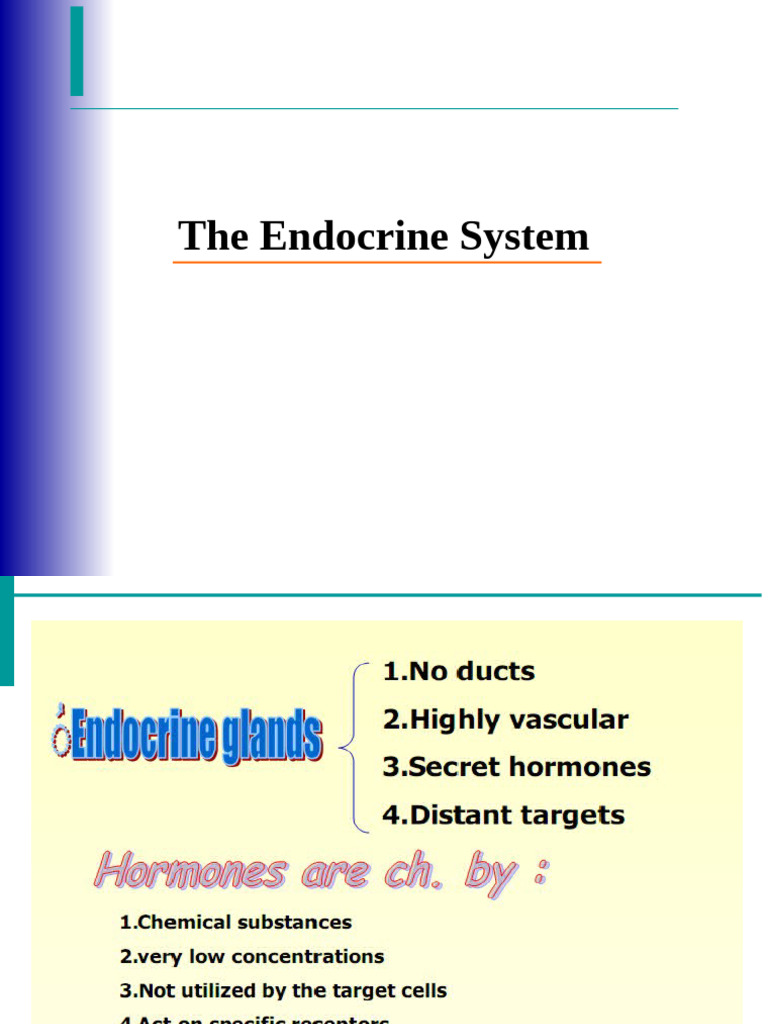 Endocrine Physiology MBBS | PDF | Thyroid | Adrenal Gland