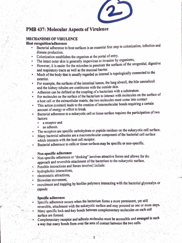 PMB 437 - Mechanisms of Virulence | PDF | Phagocyte | Immune System