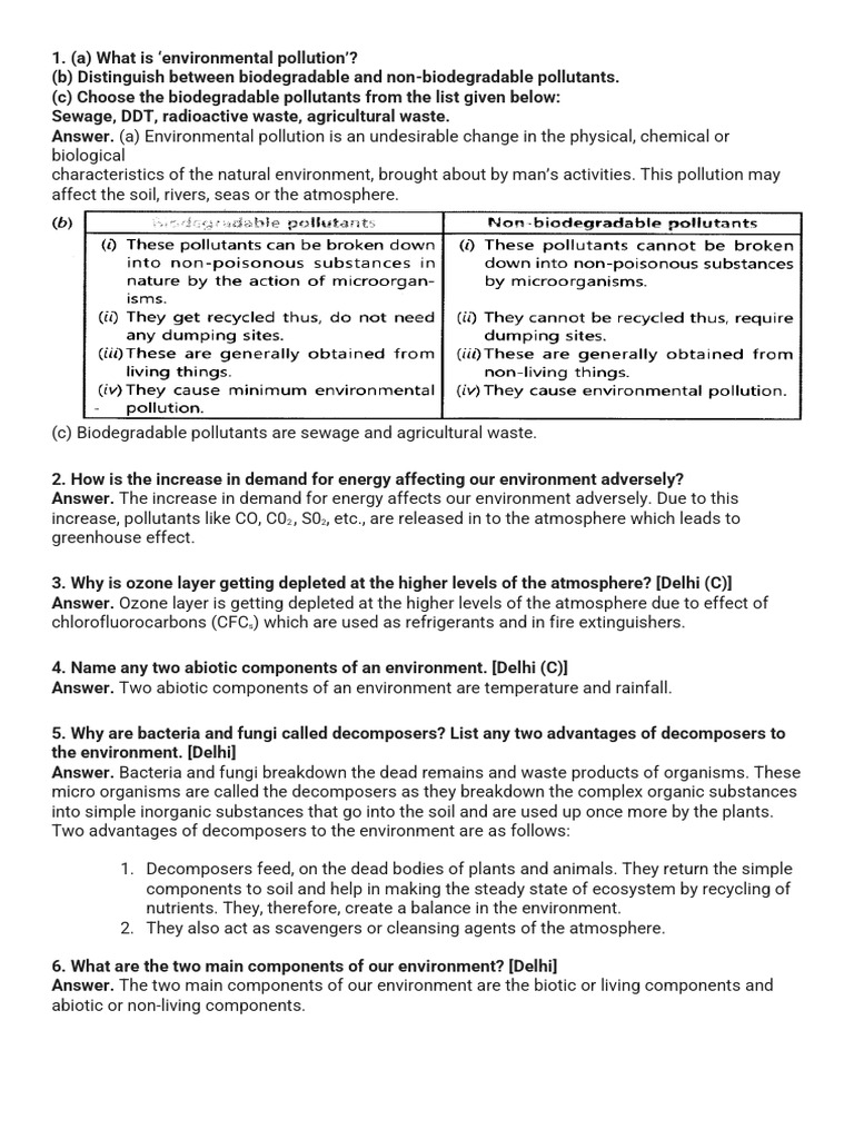 Environmental Impact of Human Activities | PDF | Natural Environment ...