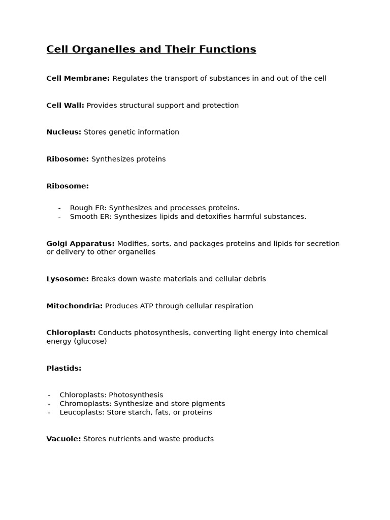 Cell Organelles: Functions & Roles | PDF | Wellness