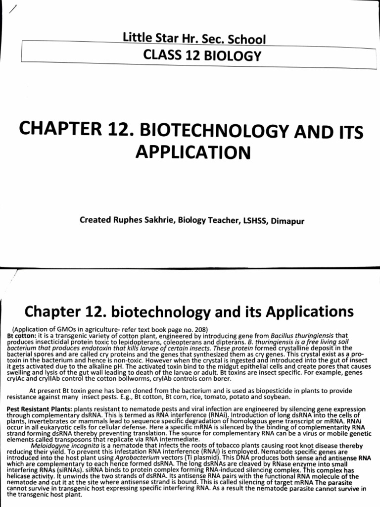 biology chp 10 | PDF | Rna | Rna Interference